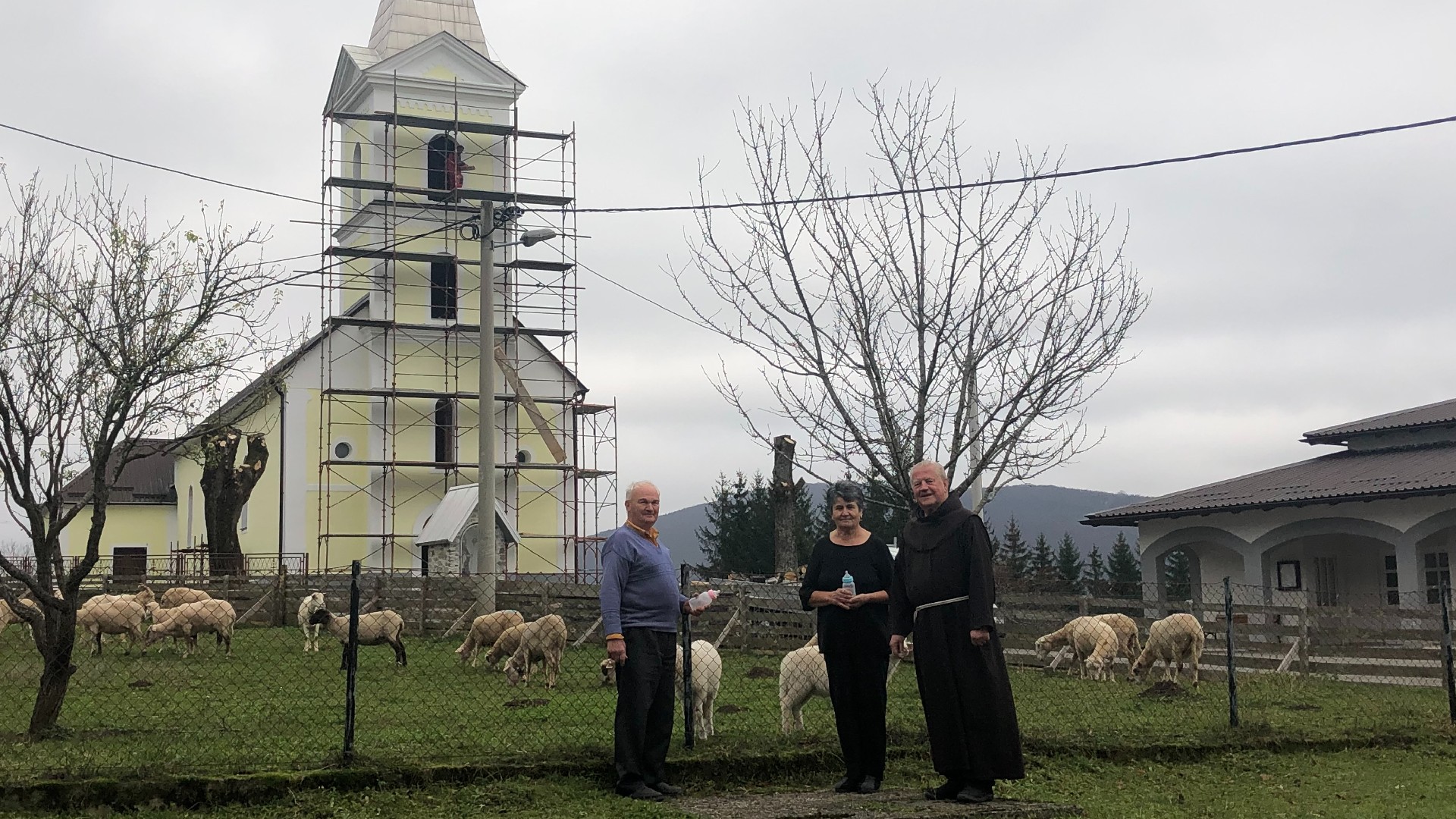 ZLATNI SAVJETI - Urtikarija (Koprivnjača) | Laudato