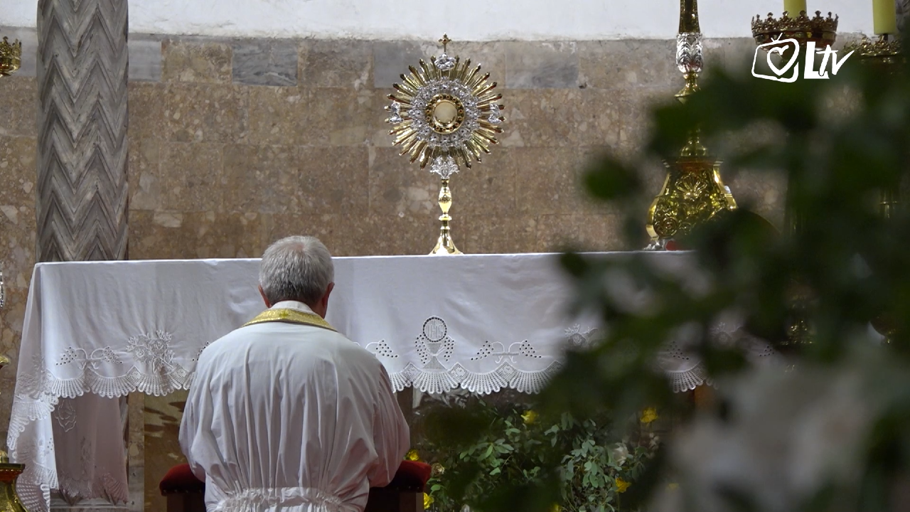 IZDVOJENO - Susret mladih Zadarske nadbiskupije | Laudato
